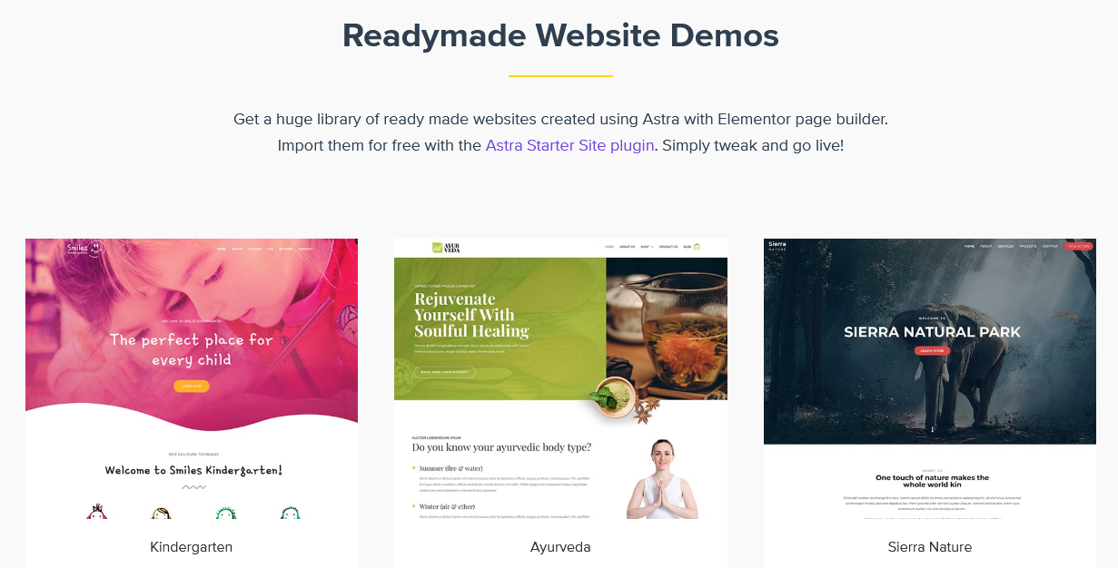Astra Theme Review- Is It The Best Theme For Beginners?